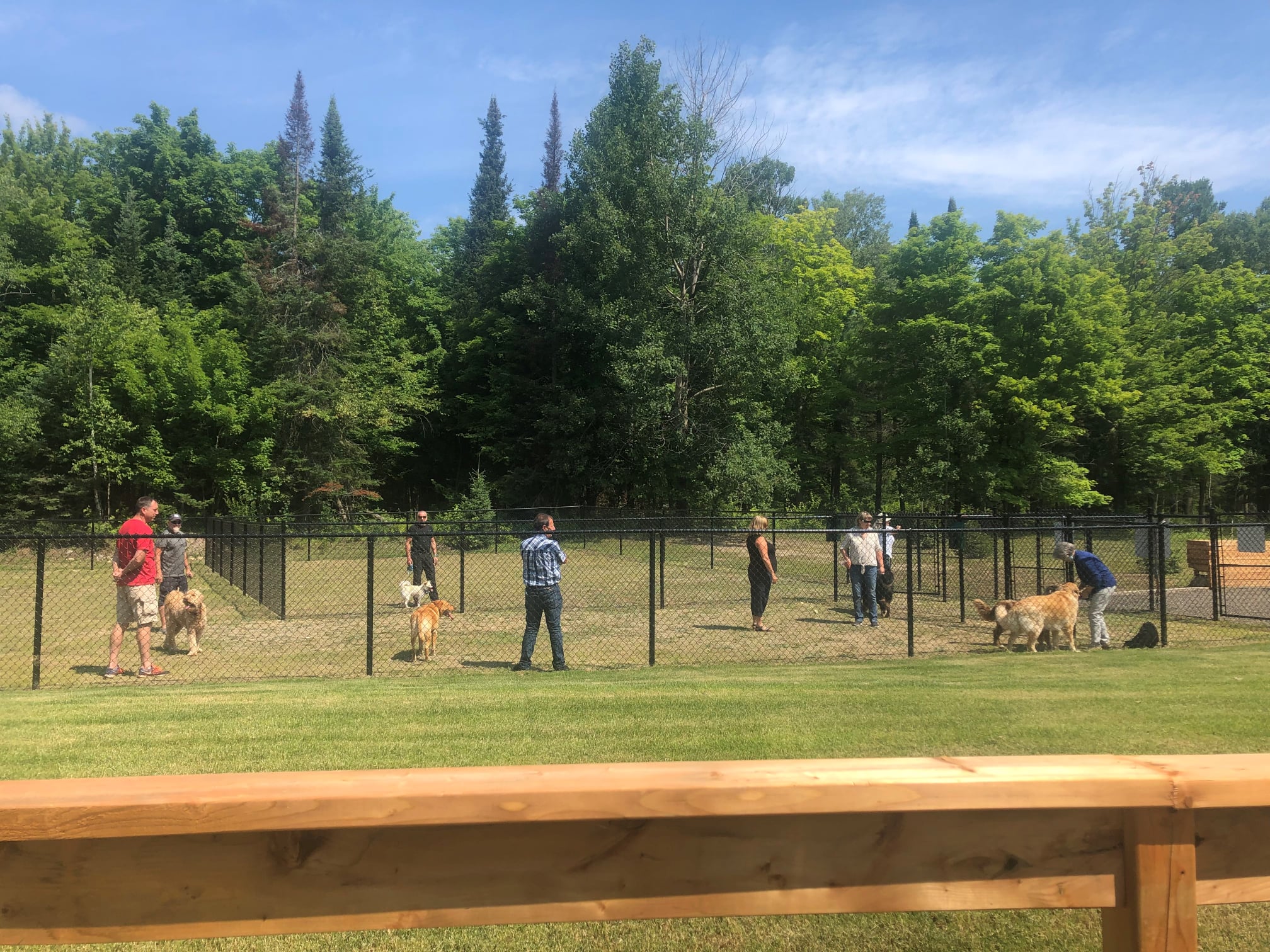 Parc Alpha (parc canin) - Municipalité Lac Simon